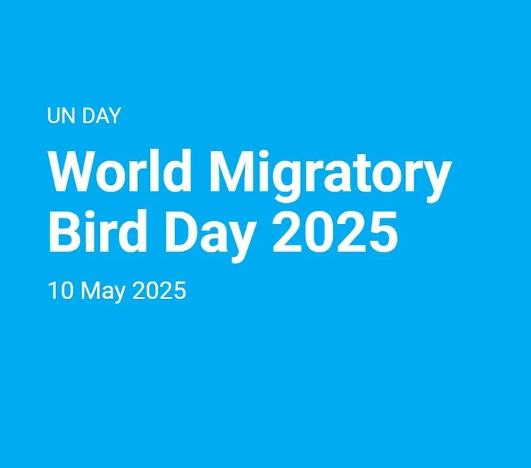 WORLD MIGRATORY BIRD DAY — INTERNATIONAL DAYS