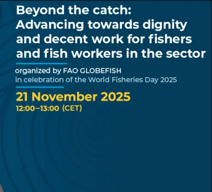 WORLD FISHERIES DAY — INTERNATIONAL DAYS