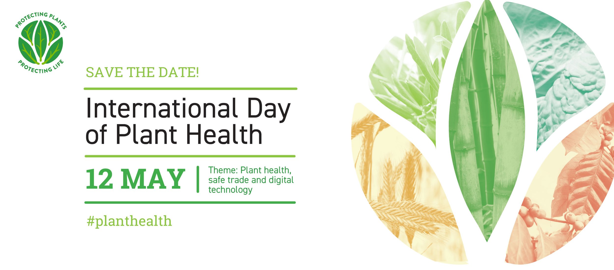 INTERNATIONAL DAY OF PLANT HEALTH — INTERNATIONAL DAYS