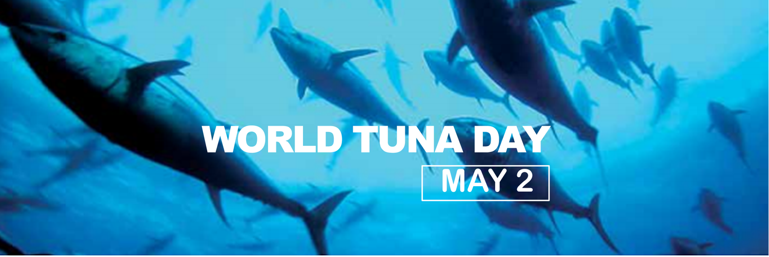 WORLD TUNA DAY — INTERNATIONAL DAYS