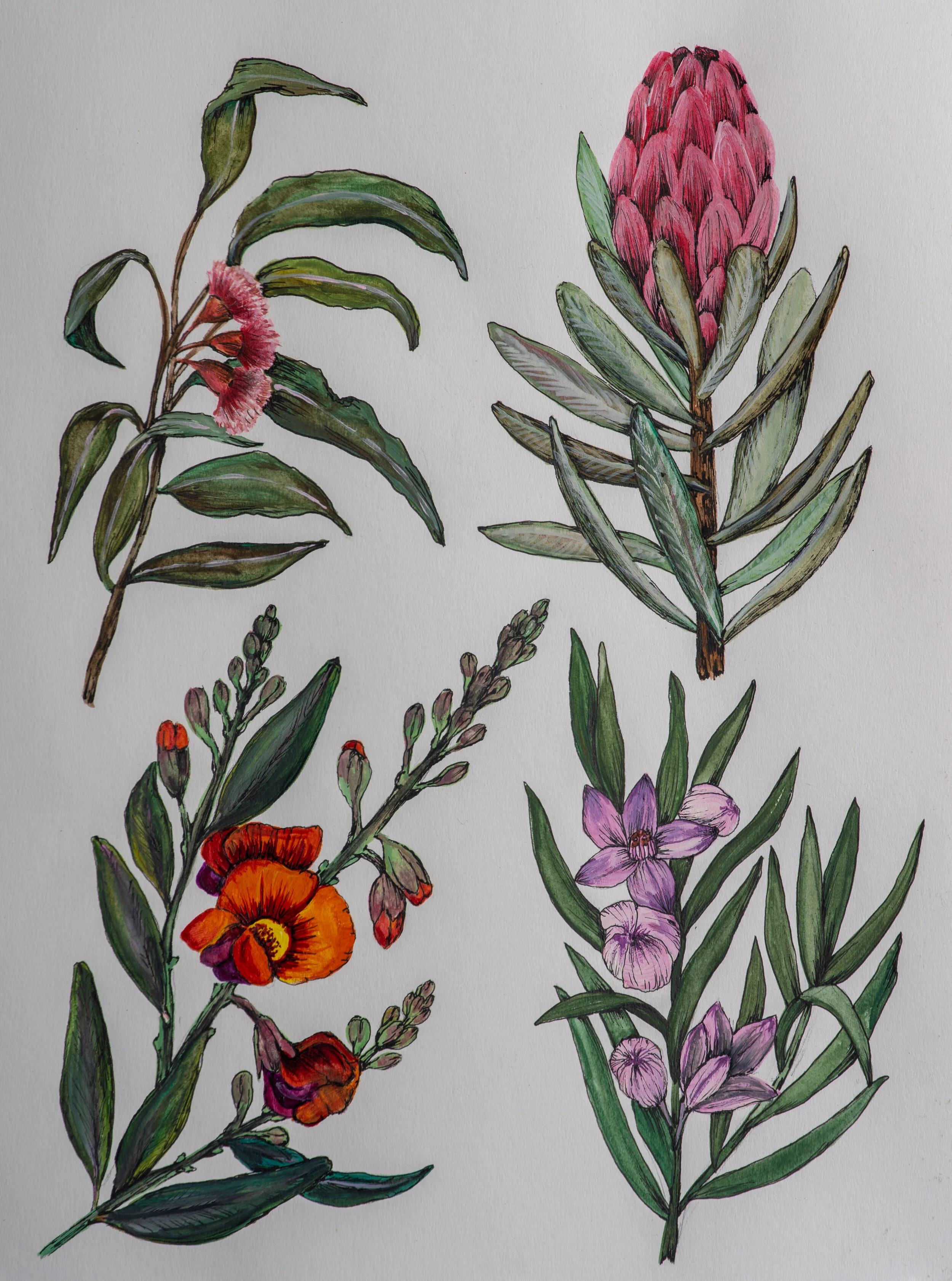 Shop — Erin Joy Art