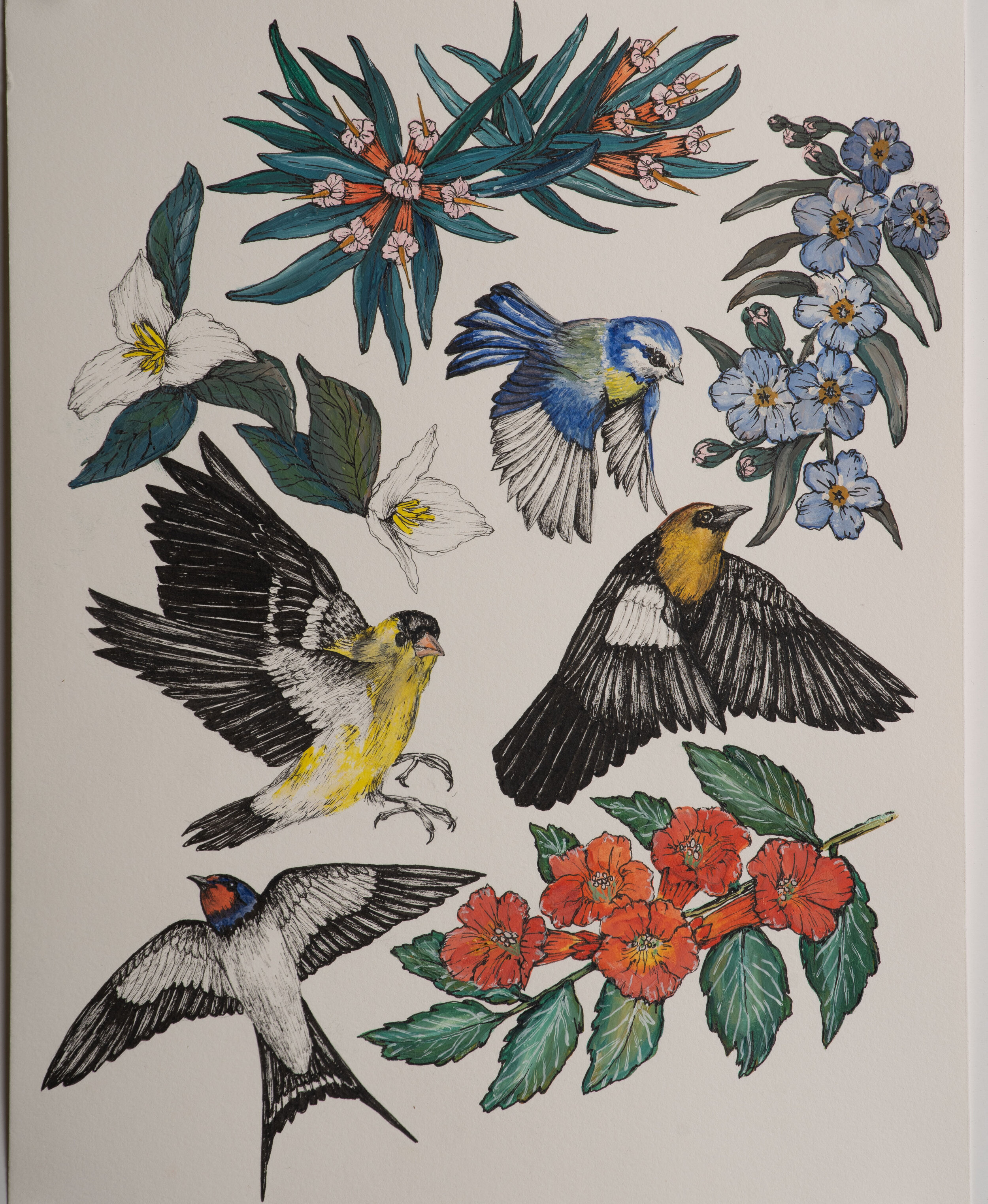 Shop — Erin Joy Art