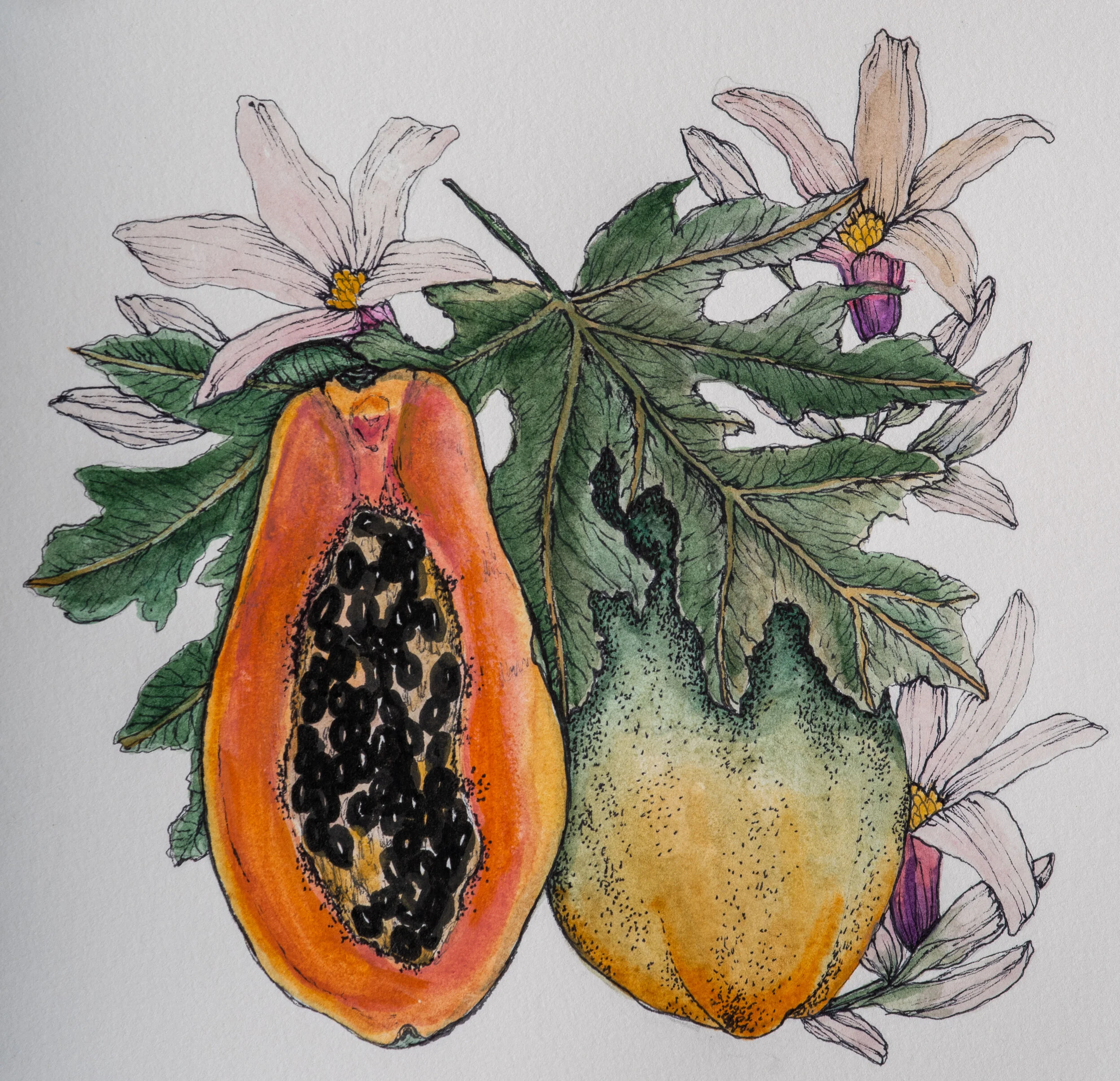 Shop — Erin Joy Art