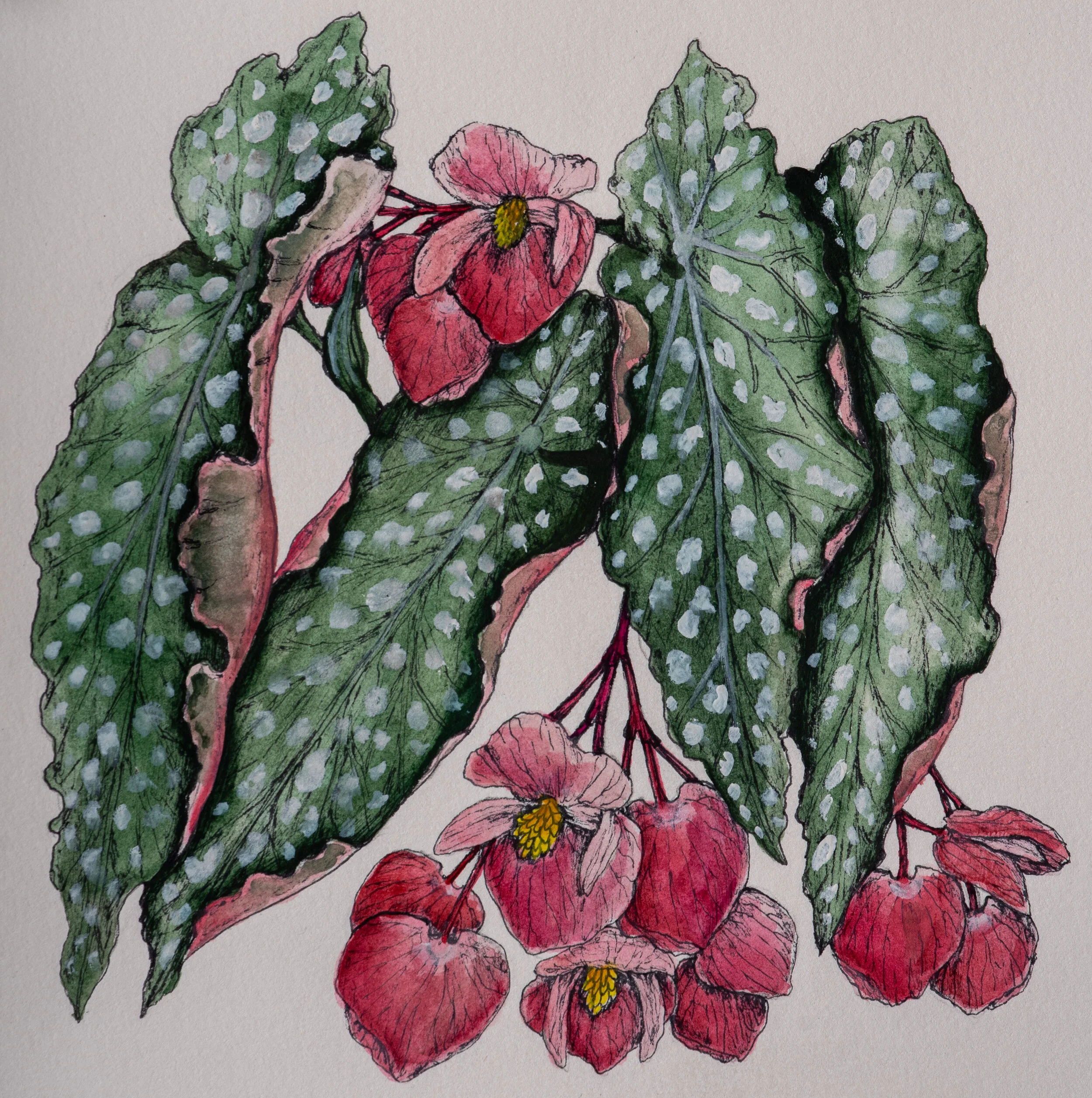 Shop — Erin Joy Art