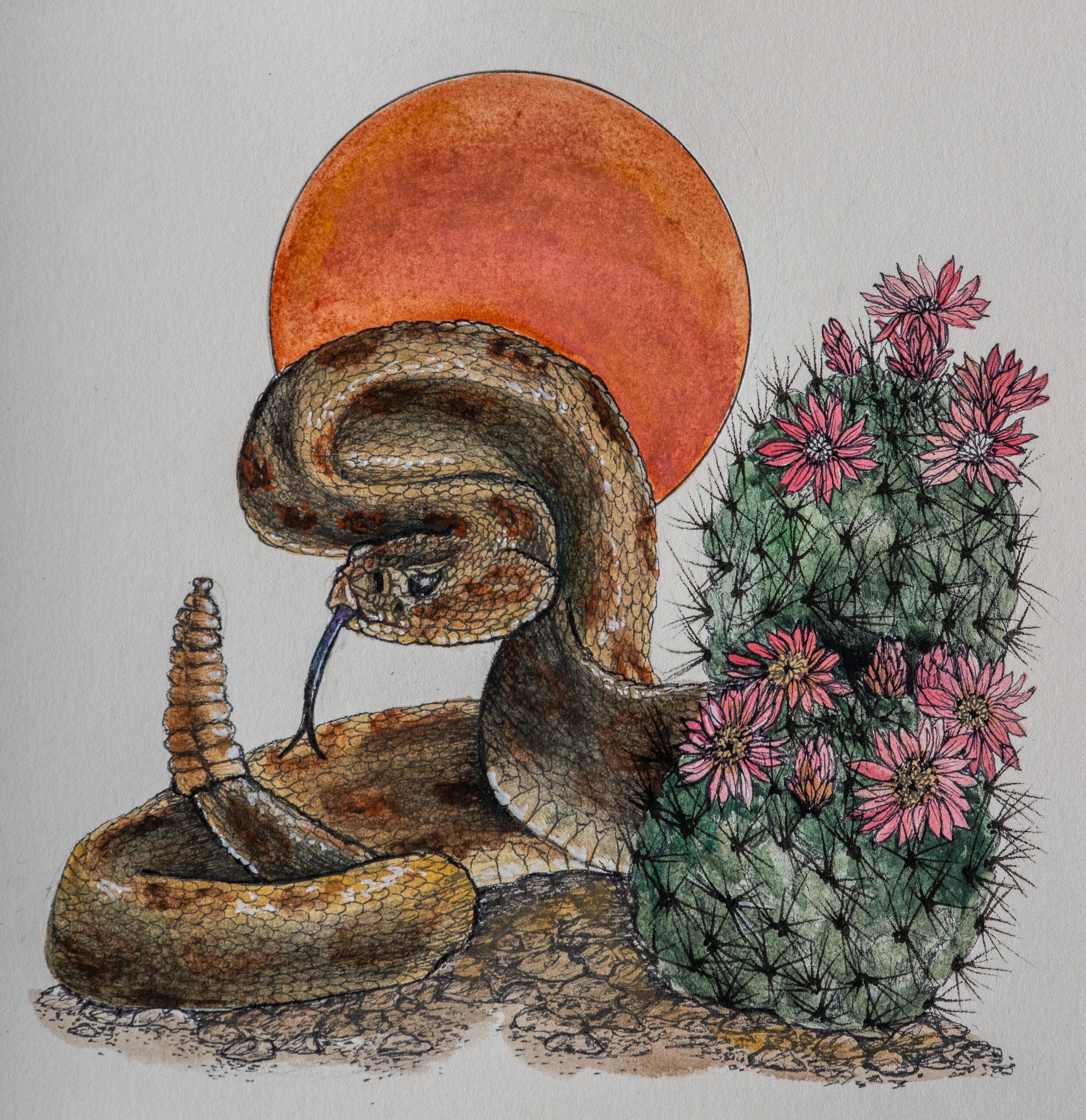 Shop — Erin Joy Art