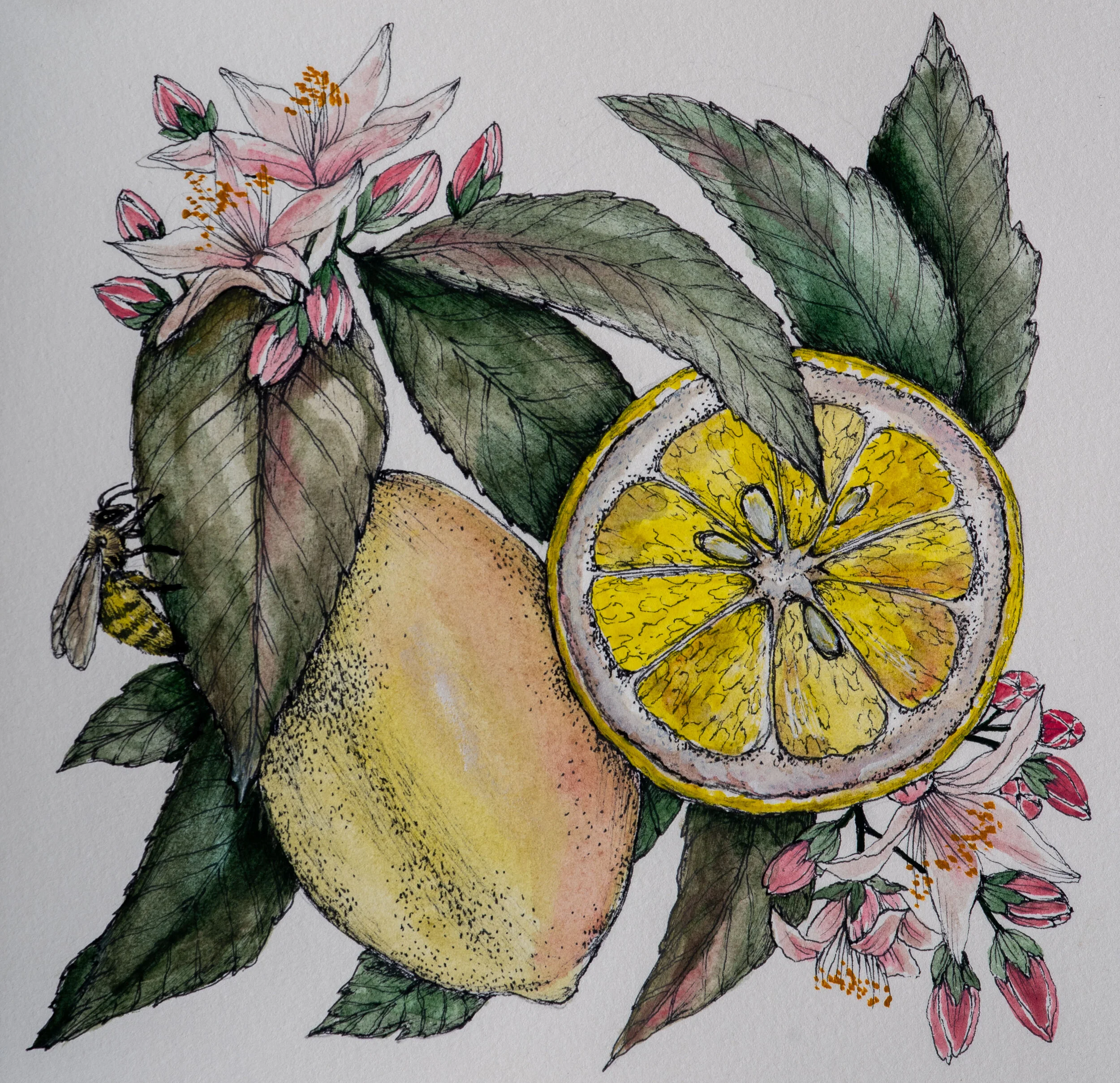 Shop — Erin Joy Art