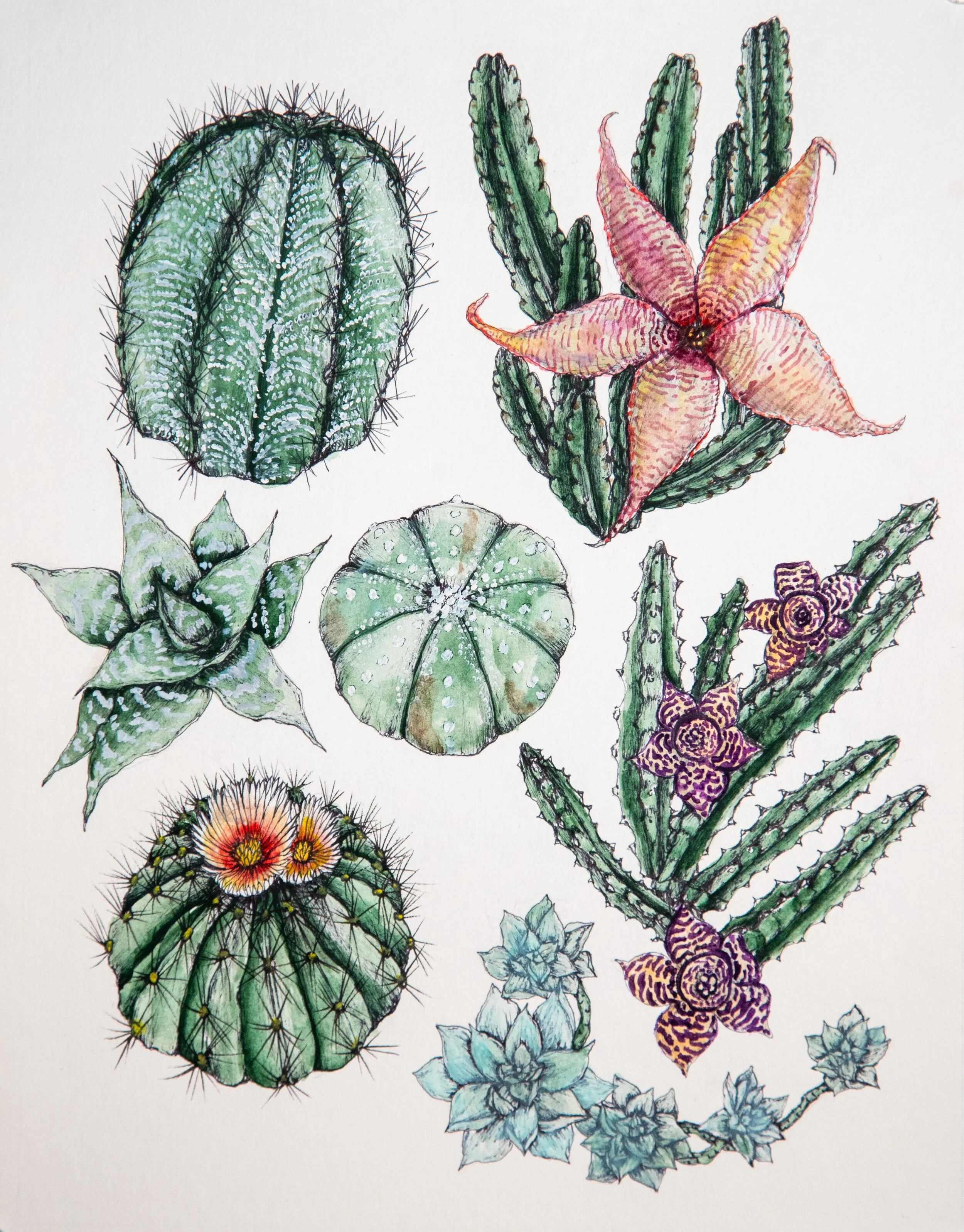 Shop — Erin Joy Art