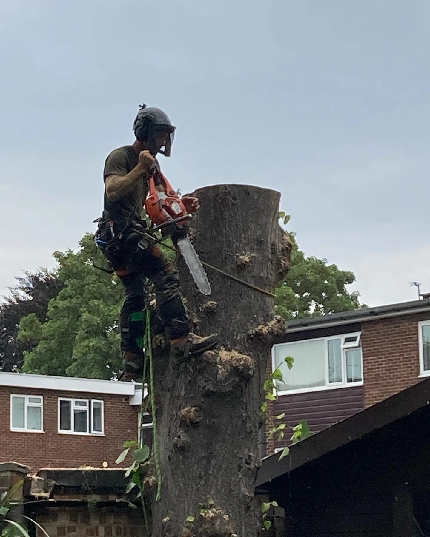 Tree Surgeons in Medway, Gardeners in Rochester, Chatham Tree Services, Medway Gardener - Tommy ...