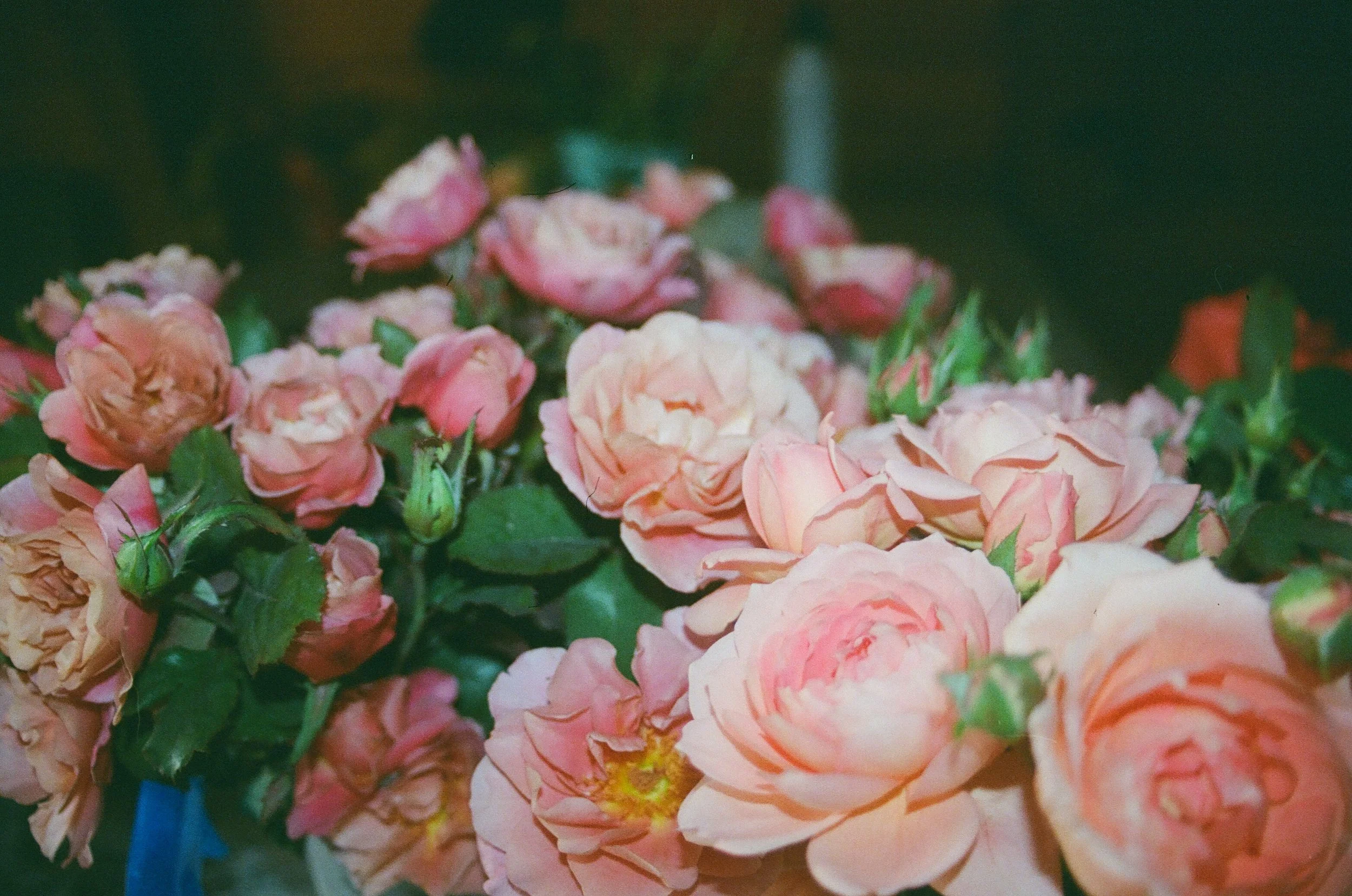 Tumblr Grunge Flowers