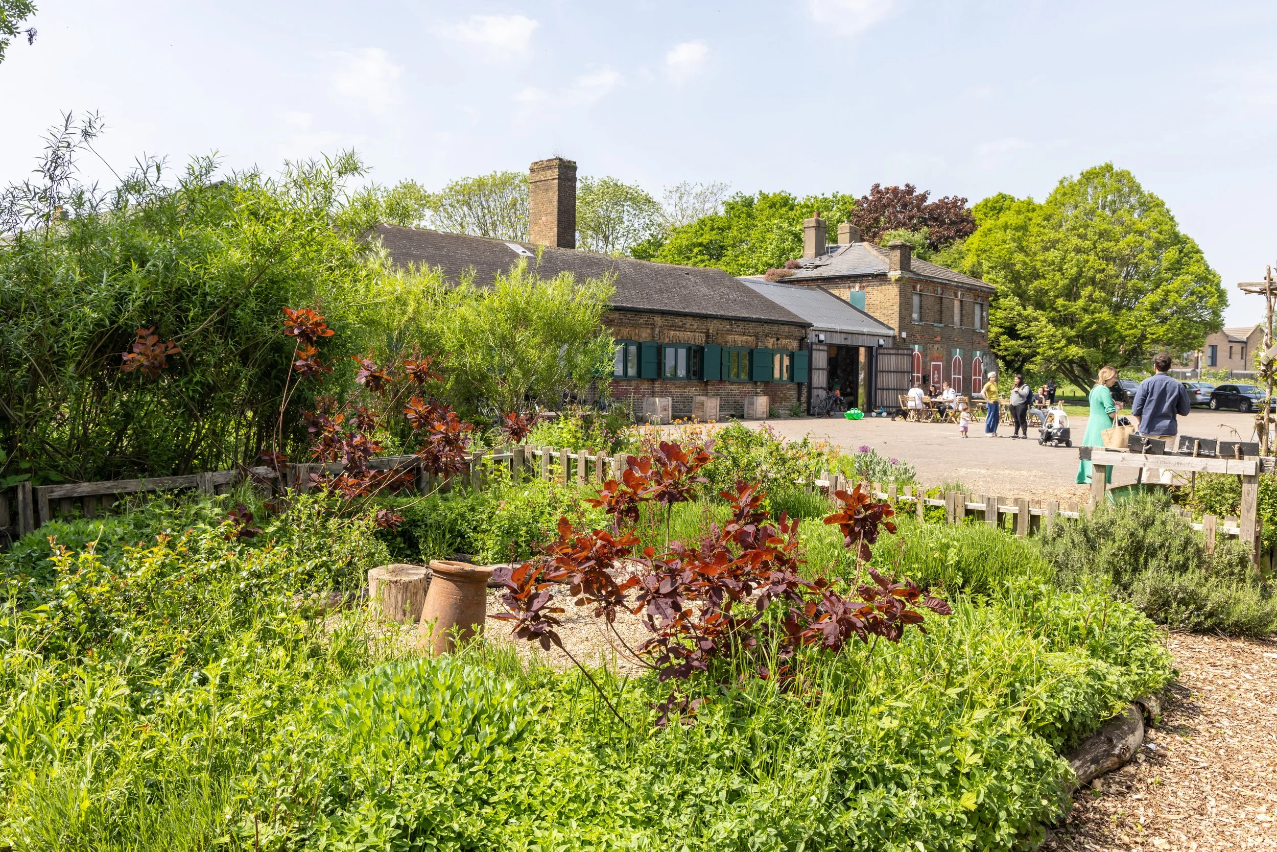 Our Yard at Clitterhouse Farm