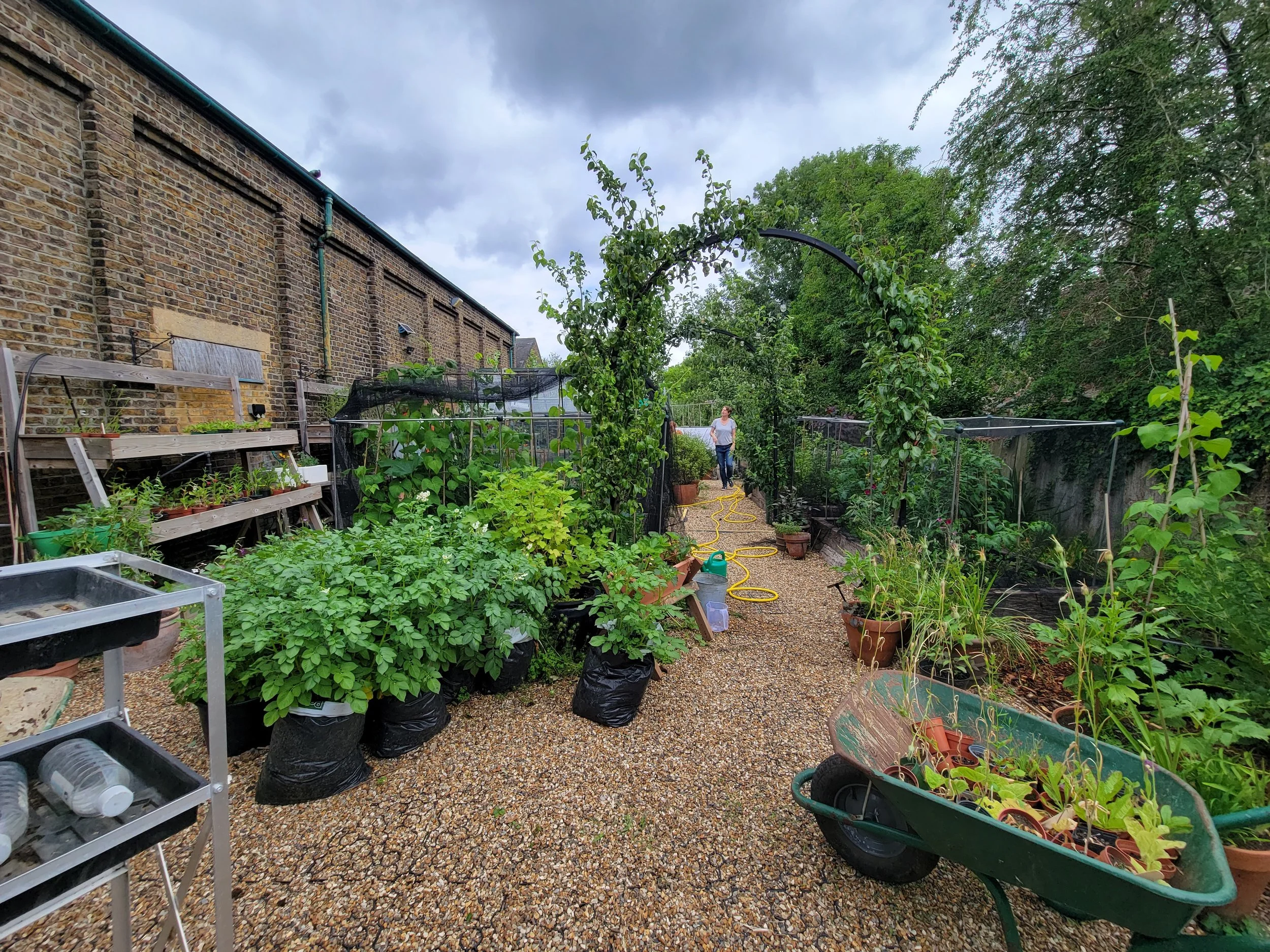 Our Garden — Our Yard at Clitterhouse Farm