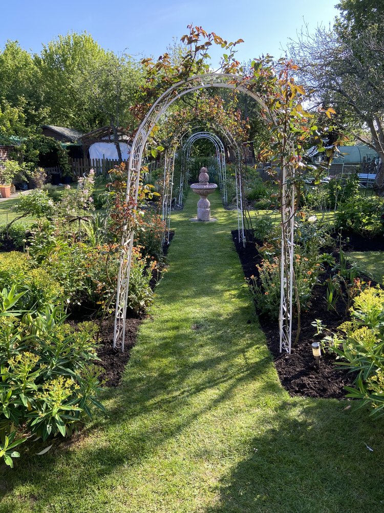 Expert Guide to Pruning Climbing Roses for Healthy Growth & Stunning ...