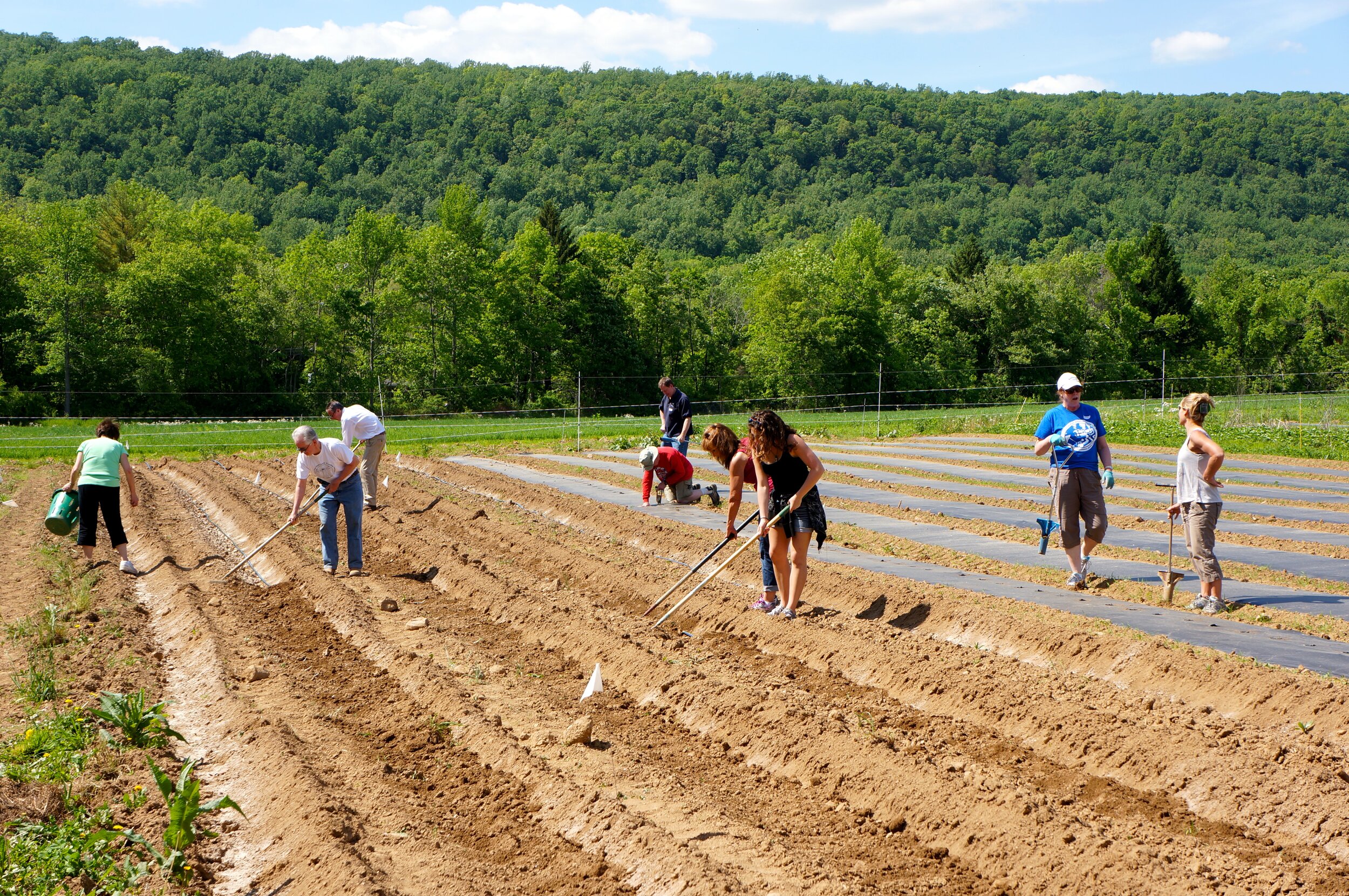 Ethos Farm to Health