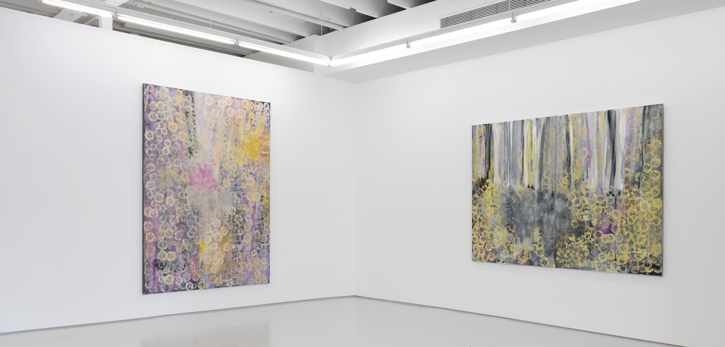 Dan Kyle | Australian Artist