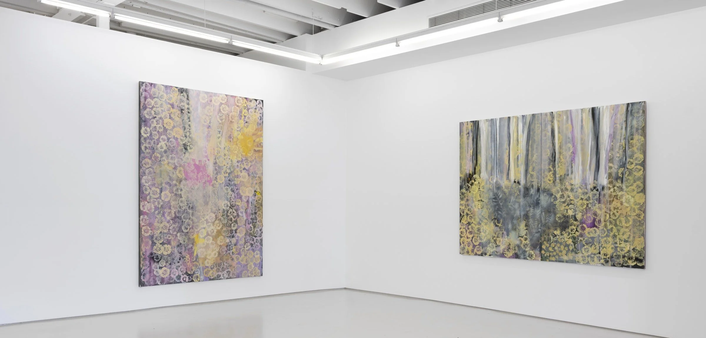 Dan Kyle | Australian Artist