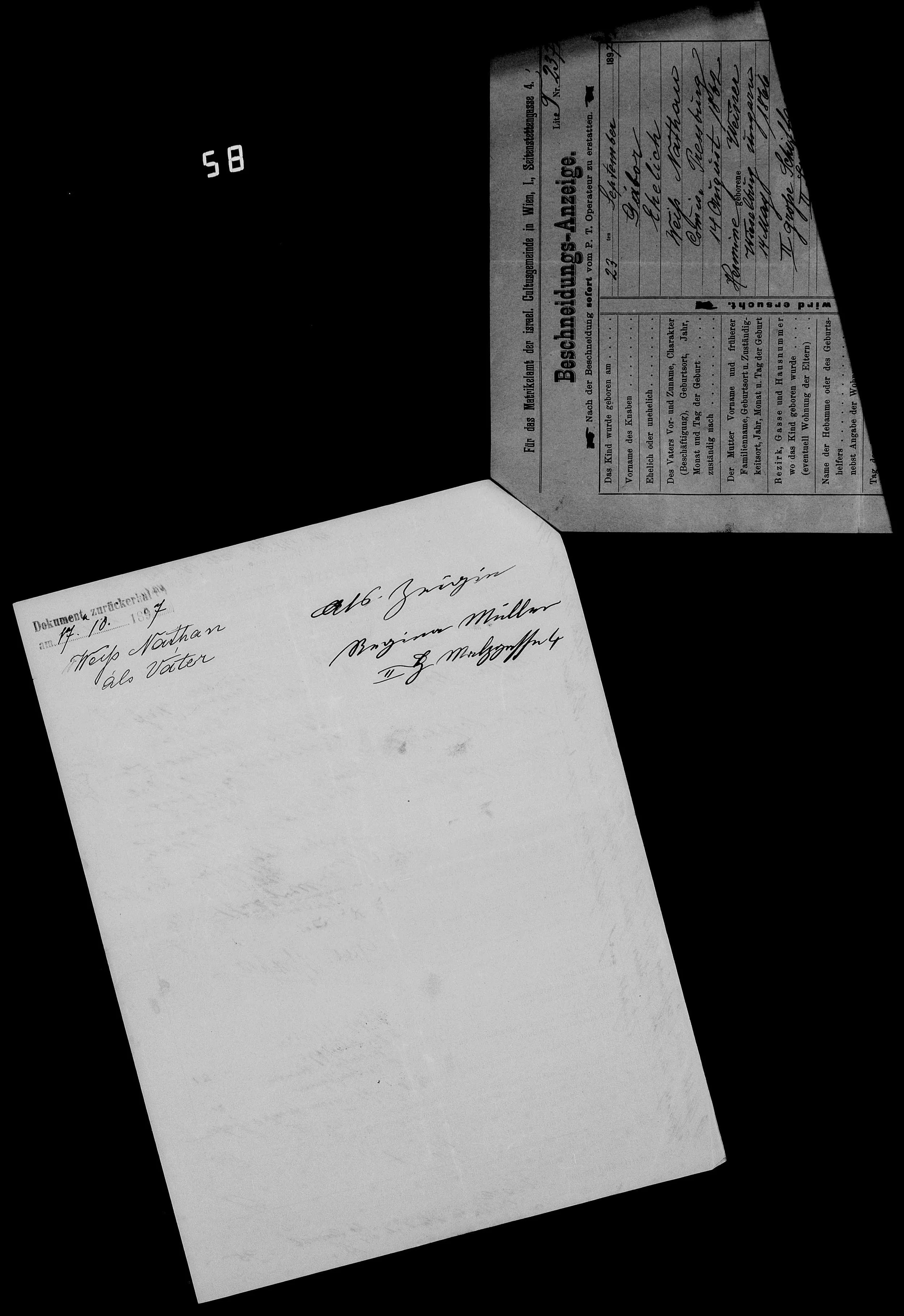 THE WEISS FAMILY — The Breier Family Archives