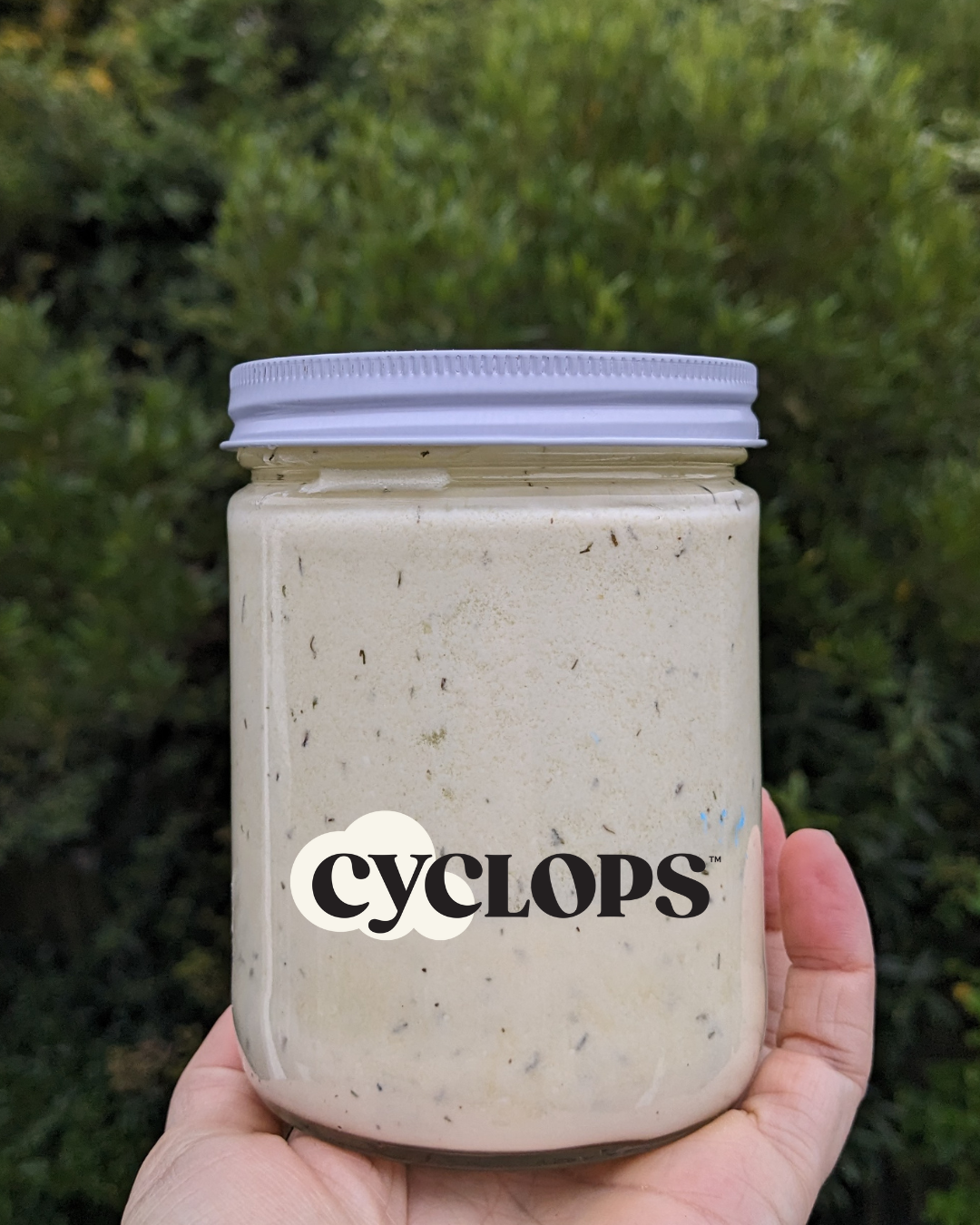 Creamy Greek Yoghurt Dressing — CYCLOPS YOGHURT