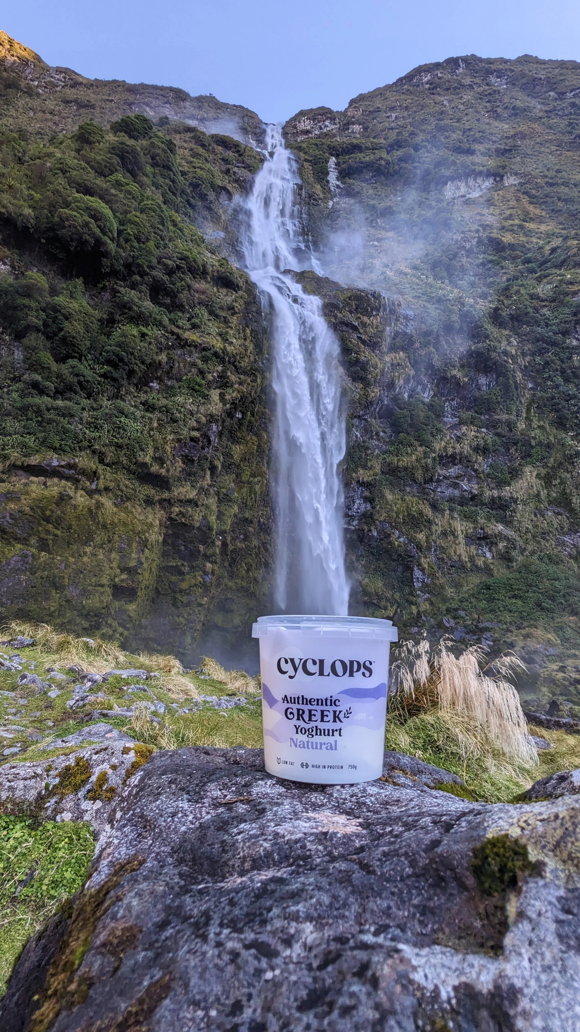 About Us — CYCLOPS YOGHURT
