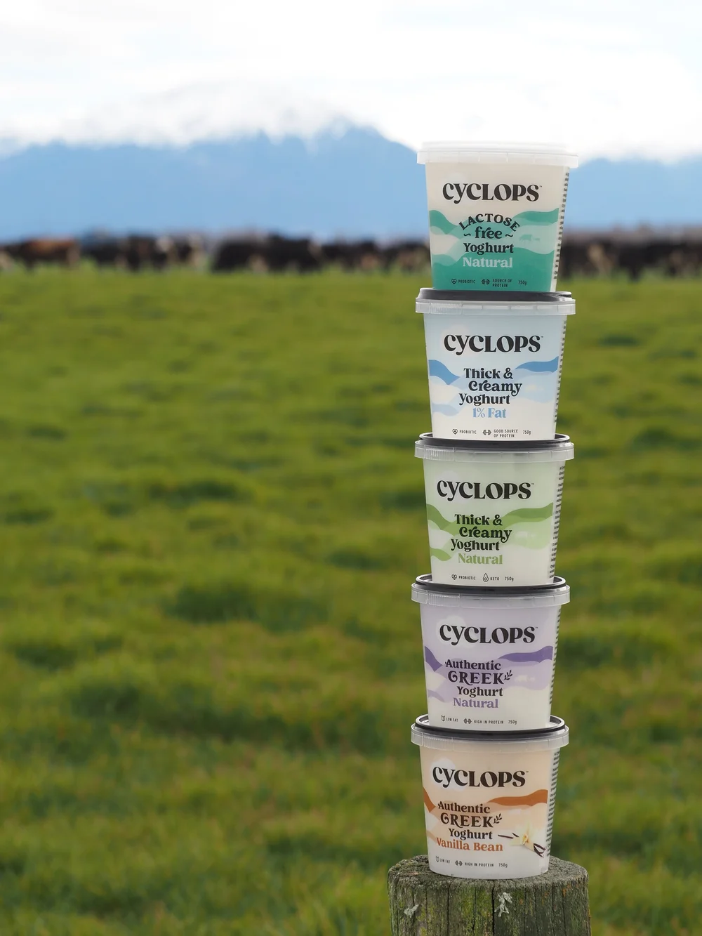 About Us — CYCLOPS YOGHURT