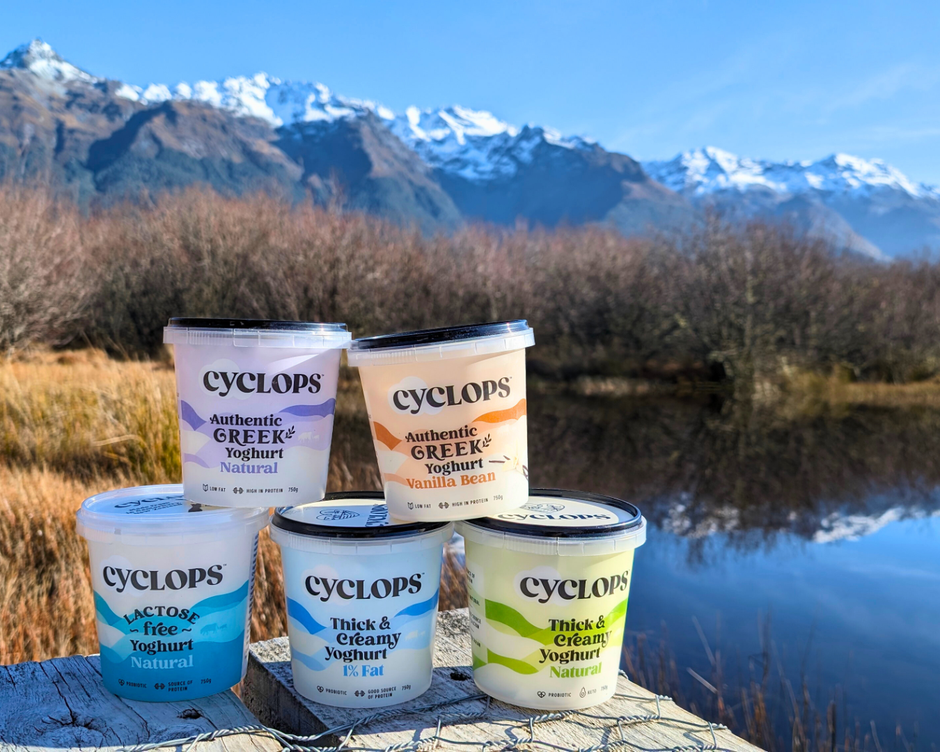 About Us — CYCLOPS YOGHURT