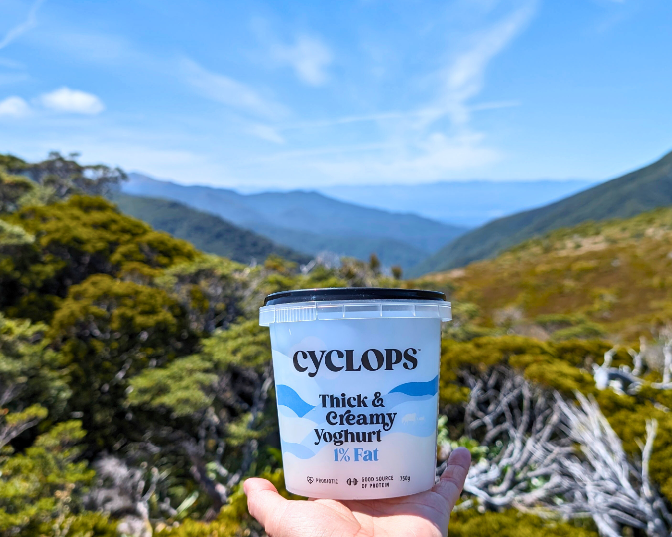 About Us — CYCLOPS YOGHURT