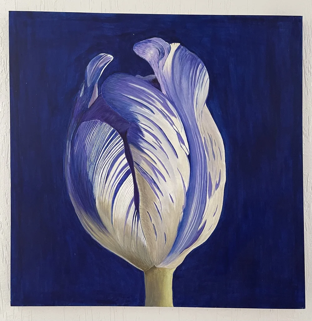 Portfolio — Sue Nathan