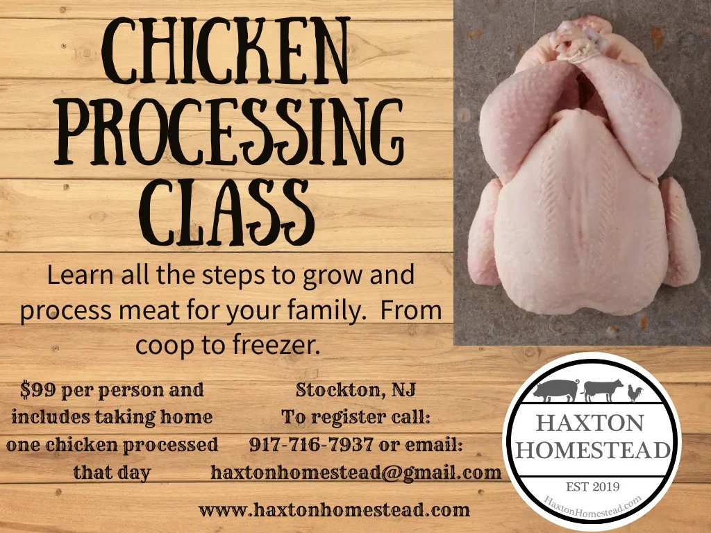Classes and Experiences — Haxton Homestead