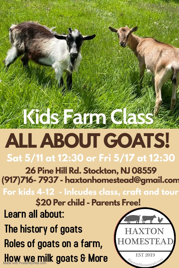 Classes and Experiences — Haxton Homestead