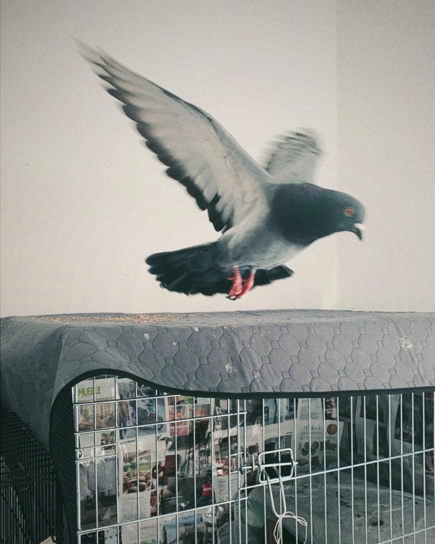 Emma Make - Independent Designer