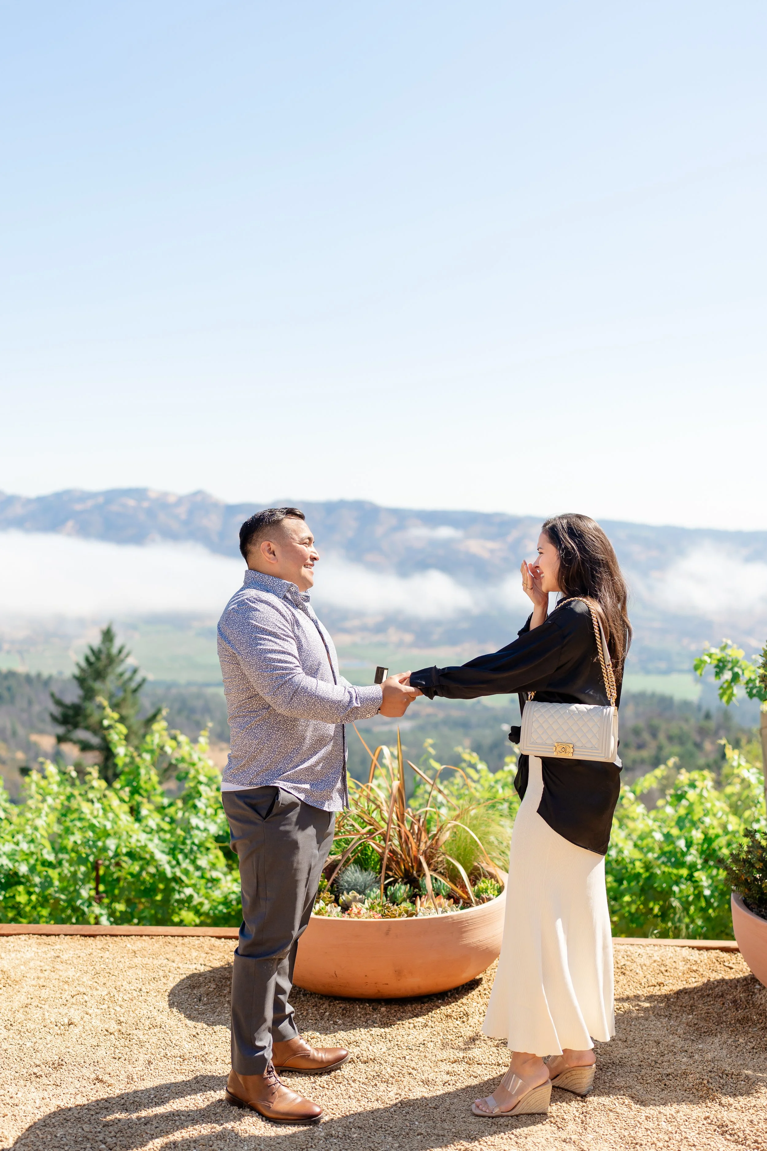 Everything You Need To Know About Planning Your Proposal In The Napa ...