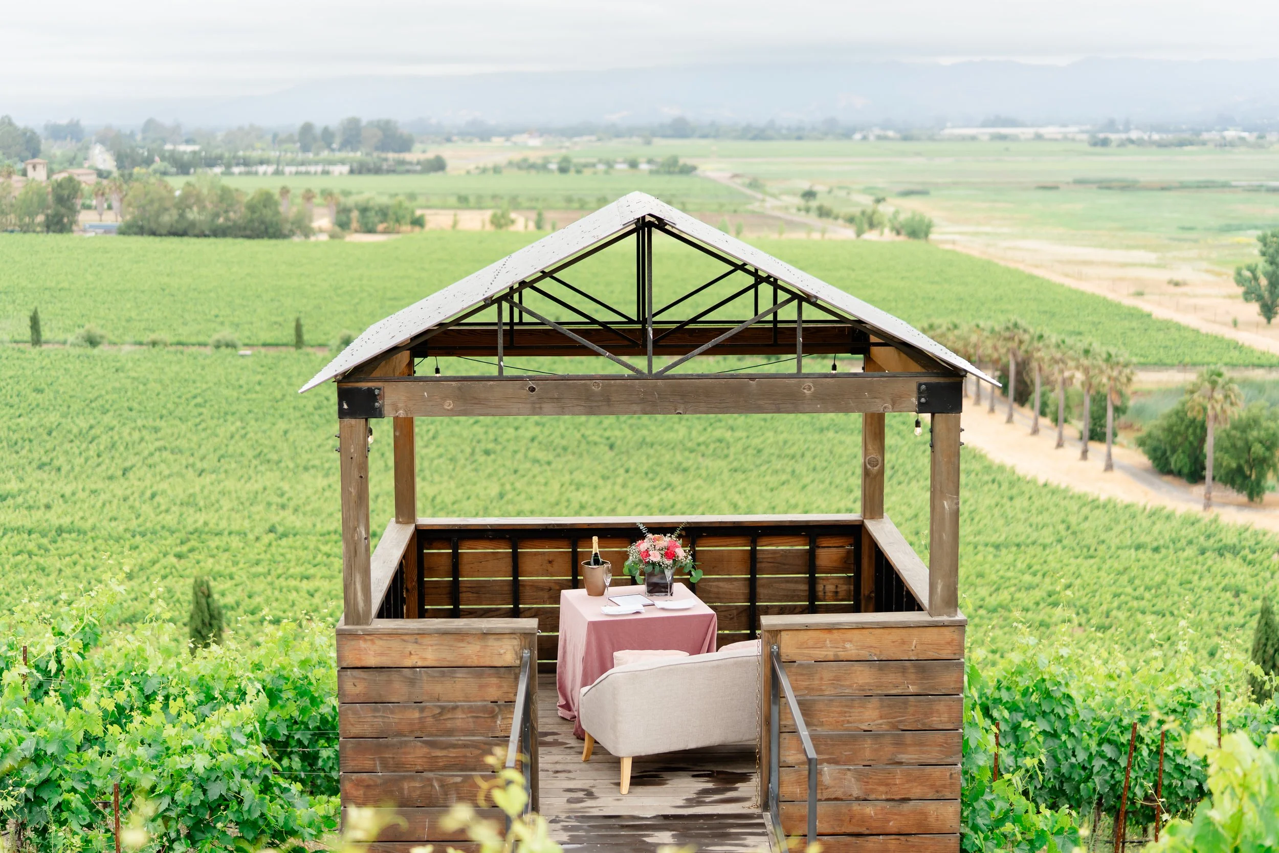 Proposals | Surprise Engagement Photographer In Napa Valley - Peter ...