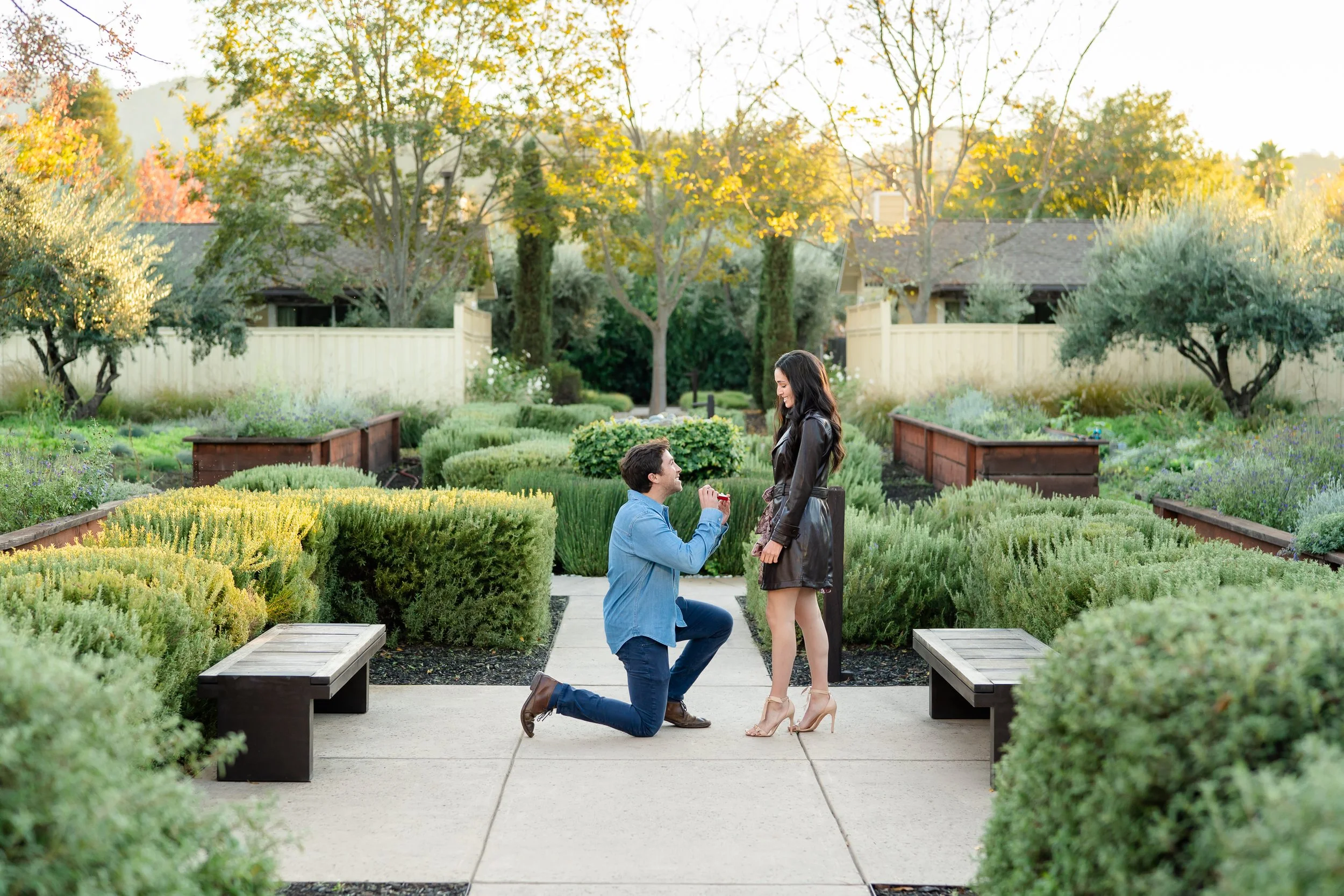 Everything You Need To Know About Planning Your Proposal In The Napa ...