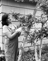 about — Lisa's Pruning and Horticulture LLC