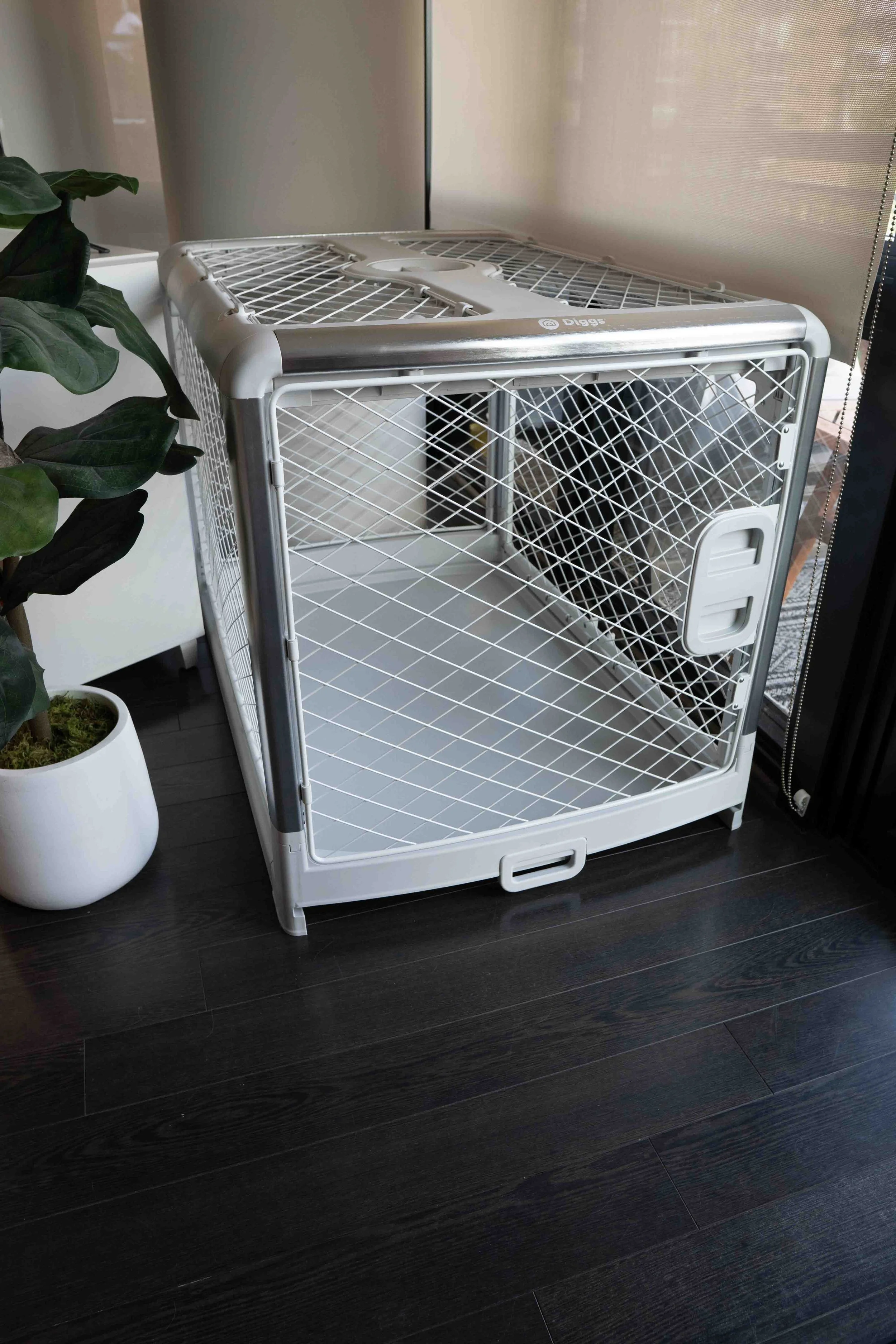 How to Crate Train your Dog — Golden Retriever Life