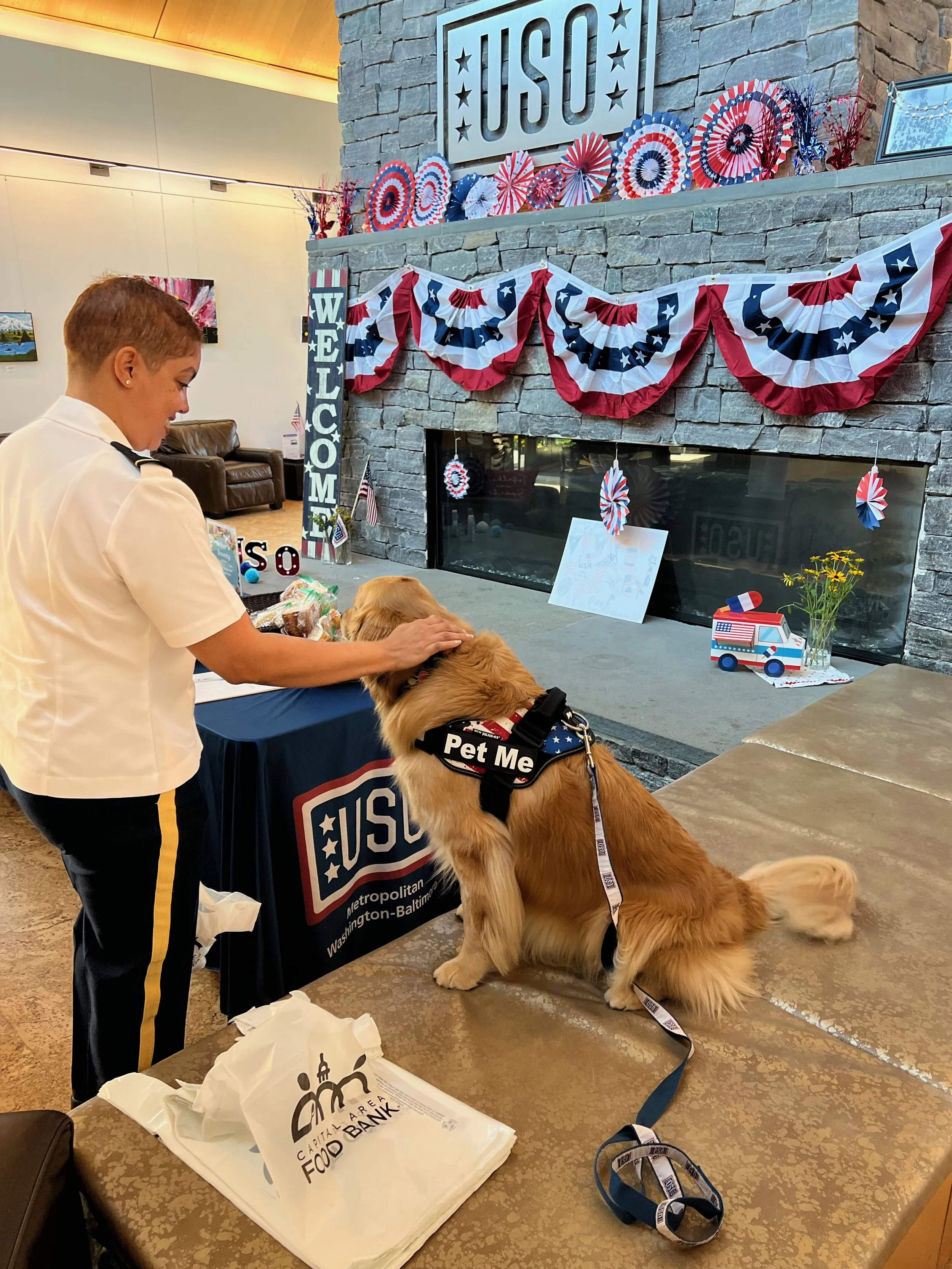 Therapy Dog vs Service Dog: Understanding the Differences and Benefits ...