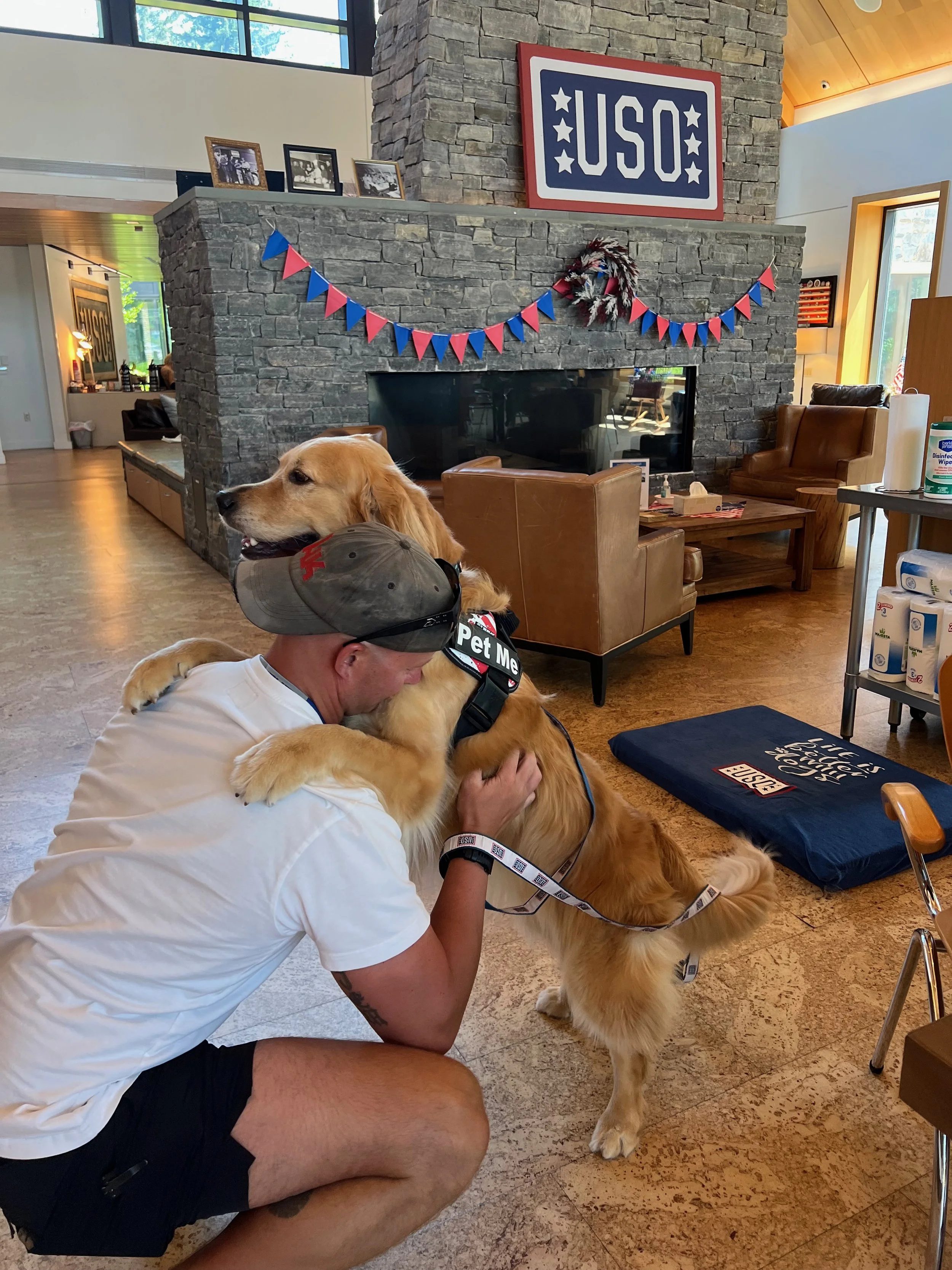 Therapy Dog vs Service Dog: Understanding the Differences and Benefits ...