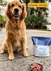 Our Journey to Find the Best Dog Food for Golden Retrievers — Golden ...