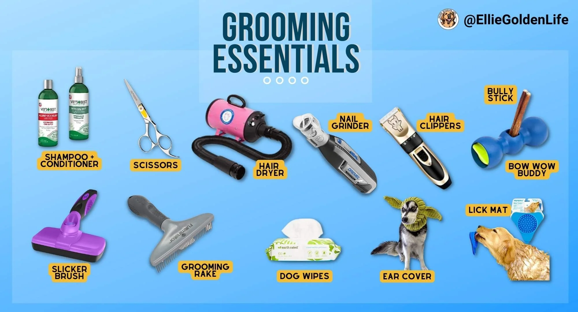 DIY Dog Grooming: Tips and Tricks for Trimming Paws, Brushing, Washing ...