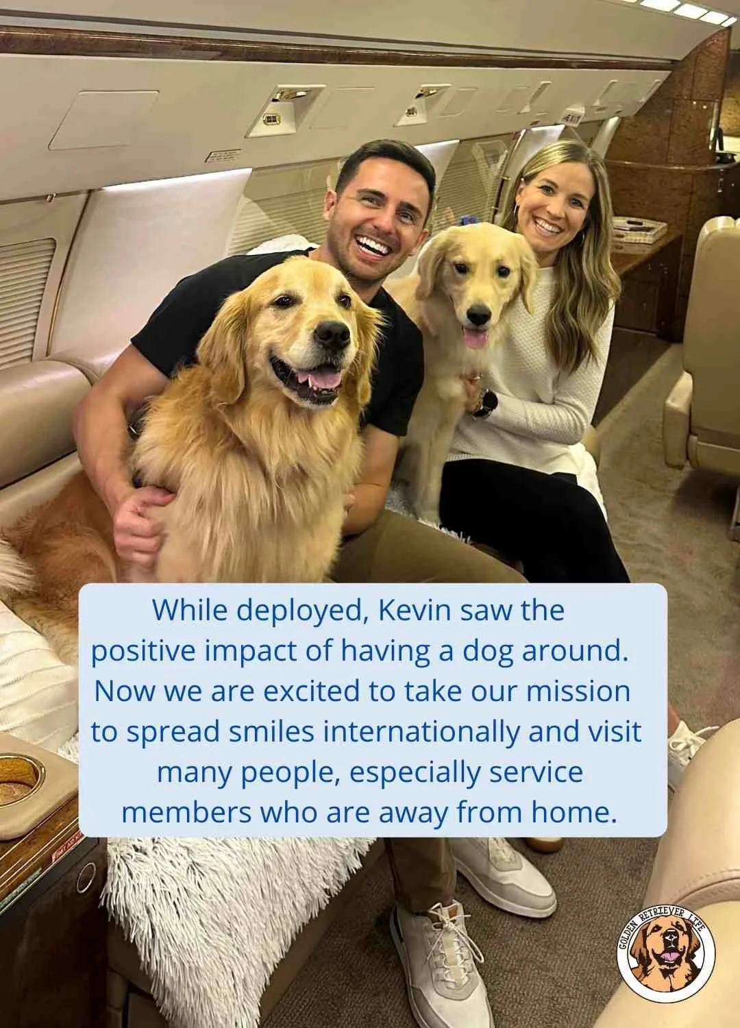 How I Flew My Dogs to Europe — Golden Retriever Life