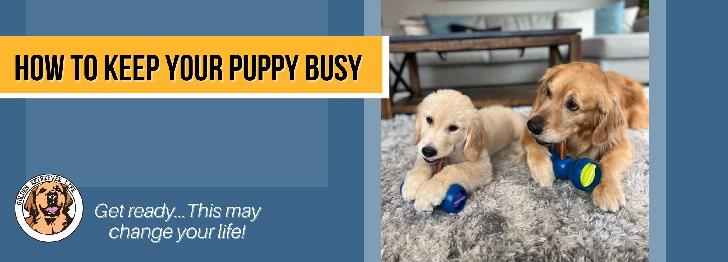 Can Dogs Choke On Bully Sticks