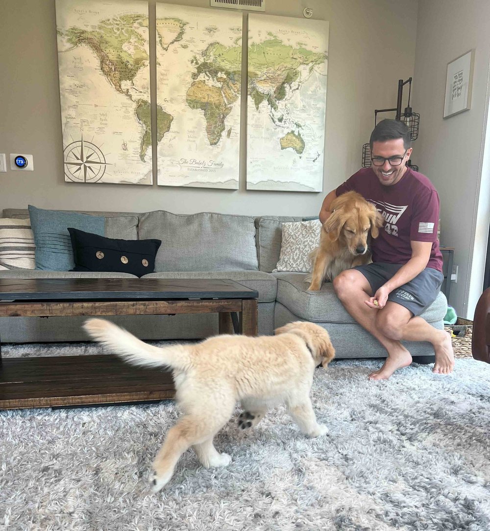 Puppy Training Week 3: Mastering Sit, Down, and Attention in ...