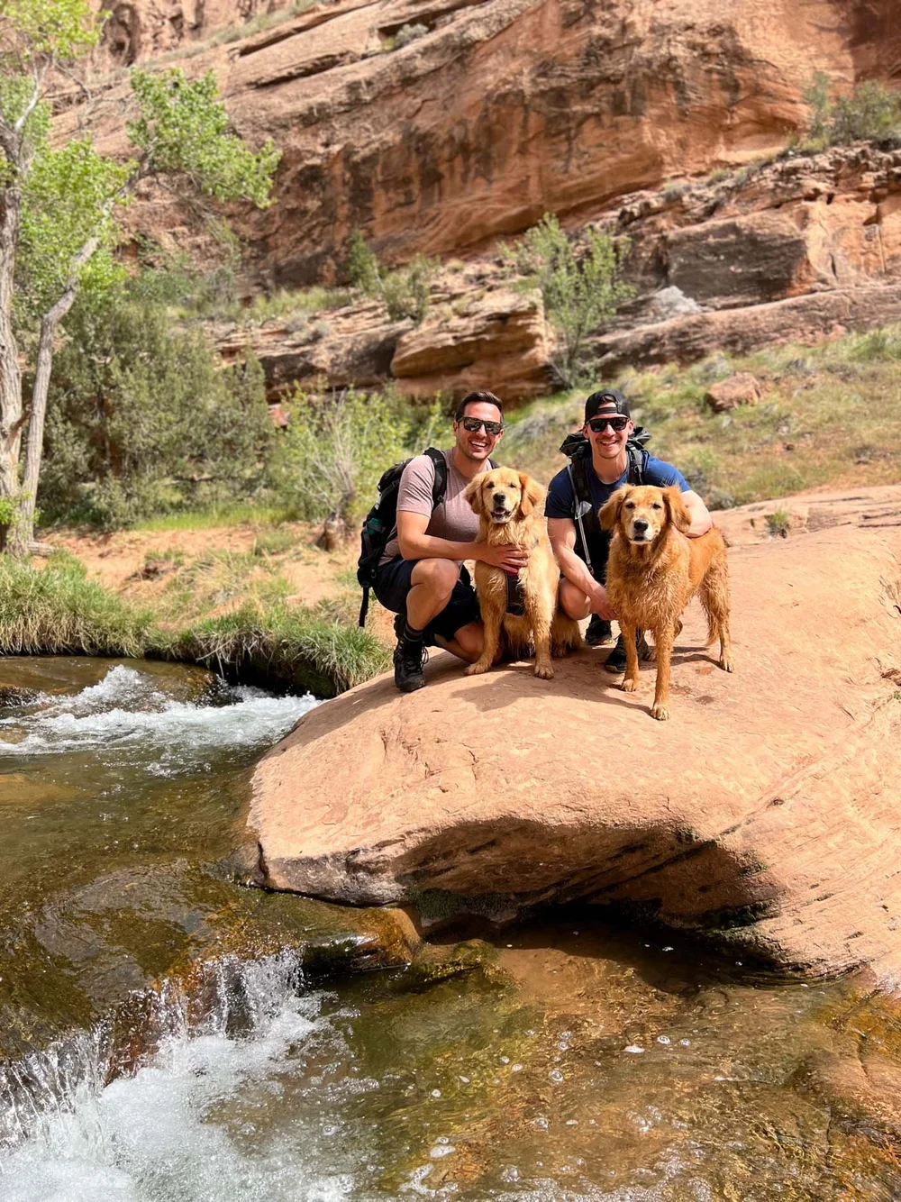 Exploring the Southwest: A Guide to Dog-Friendly Hikes in Arizona and ...
