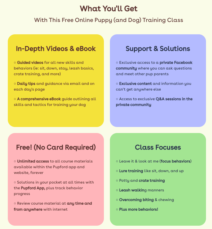 A List of Resources for Training Your Dog — Golden Retriever Life