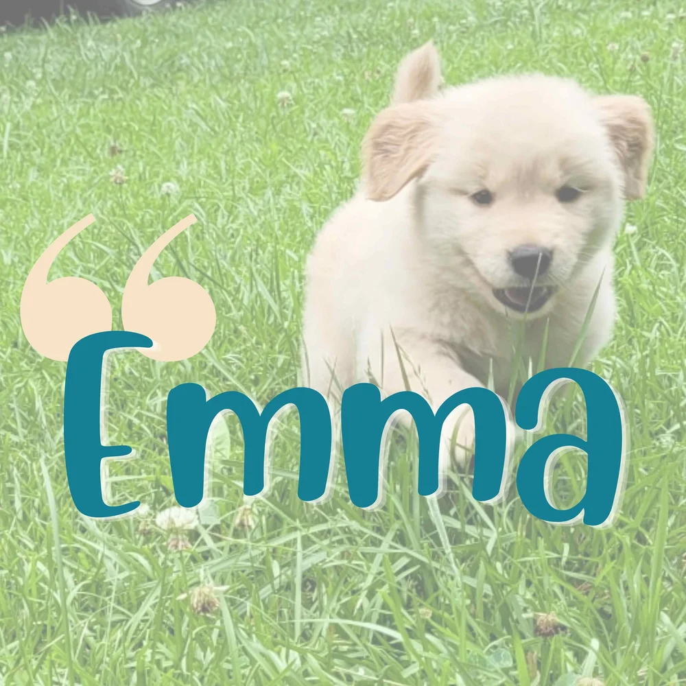 Puppy Training Week 1: Transform Your Puppy into a Well-Trained ...