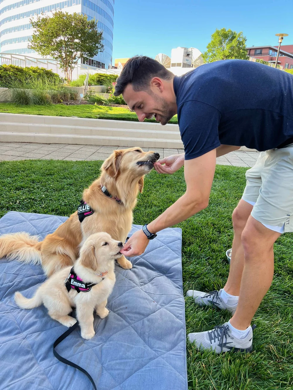 Socializing Your Puppy: A Golden Opportunity for Lifelong Success ...