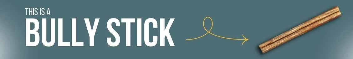 Keeping Your Puppy Busy: The Benefits of Bully Sticks — Golden ...