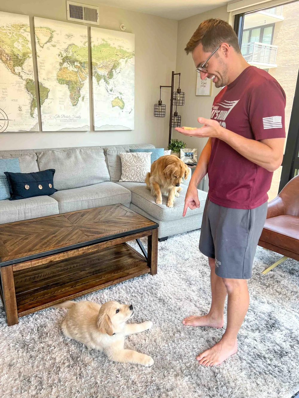 Puppy Training Week 3: Mastering Sit, Down, and Attention in ...