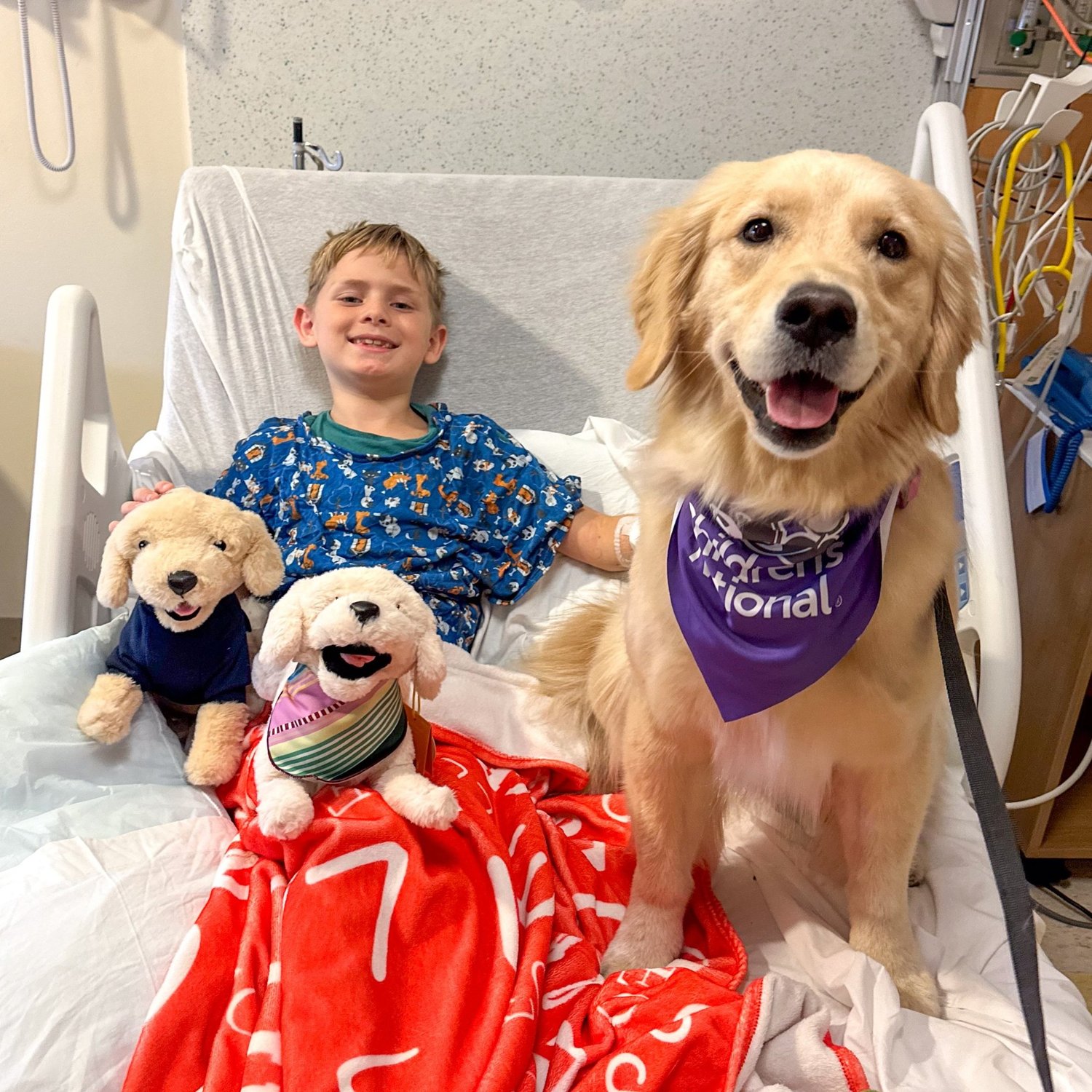 Mission to Spread Smiles Tour — Golden Retriever Life