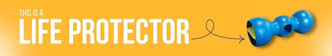 Keeping Your Puppy Busy: The Benefits of Bully Sticks — Golden ...