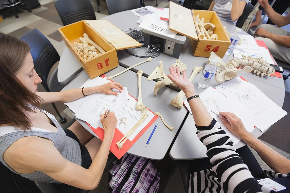 Program at a Glance — Queen's University: Life Sciences